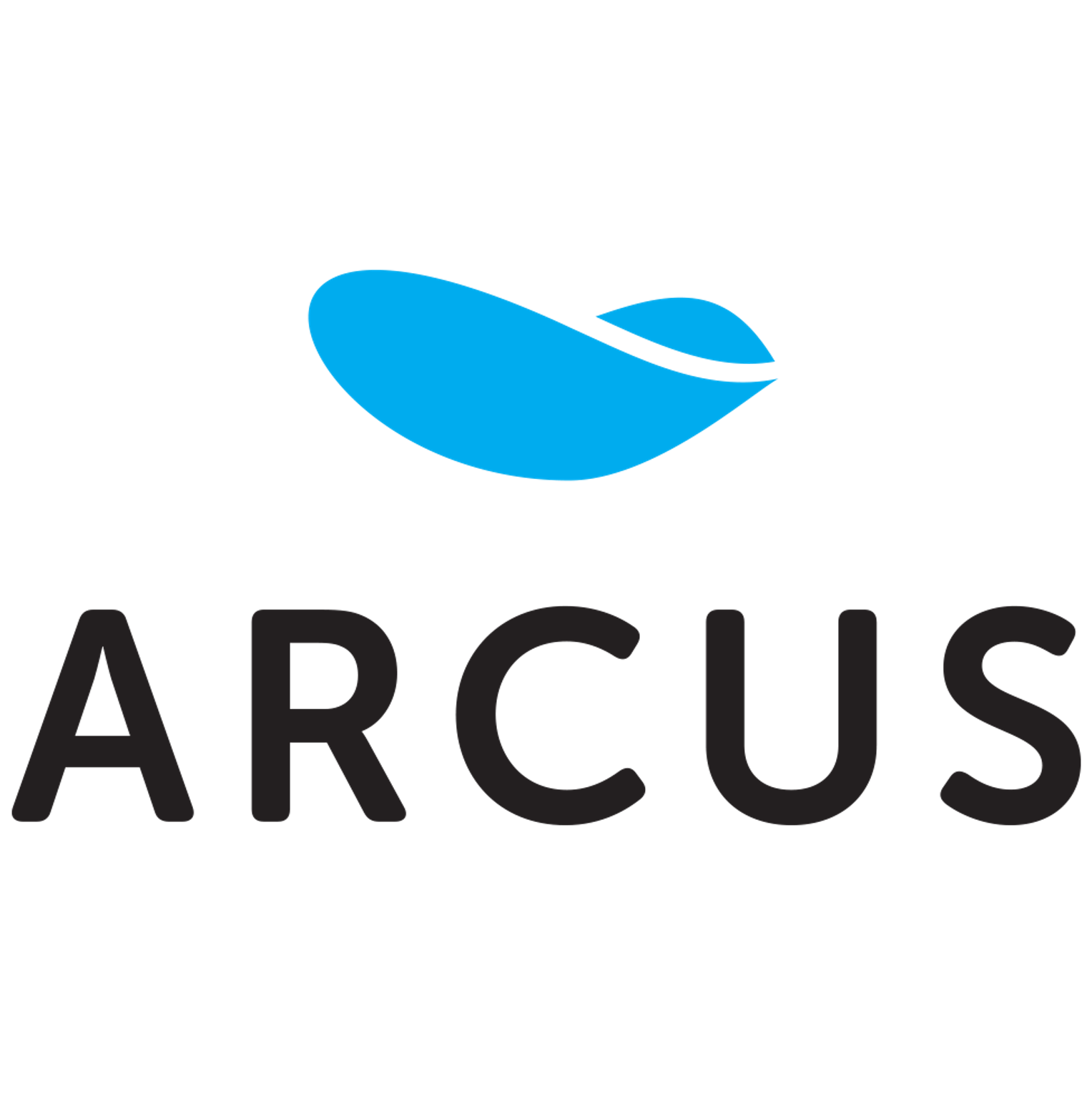 Arcus - Memory Cache Cloud